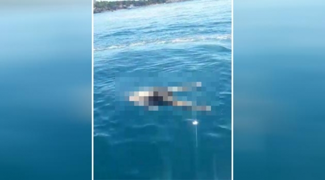 Yarı çıplak ceset bulundu ! - ASAYİŞ - ANTALYA'NIN İLK VE TEK HABER PORTALI Yarı çıplak ceset bulundu ! - ASAYİŞ - ANTALYA'NIN İLK VE TEK HABER PORTALI